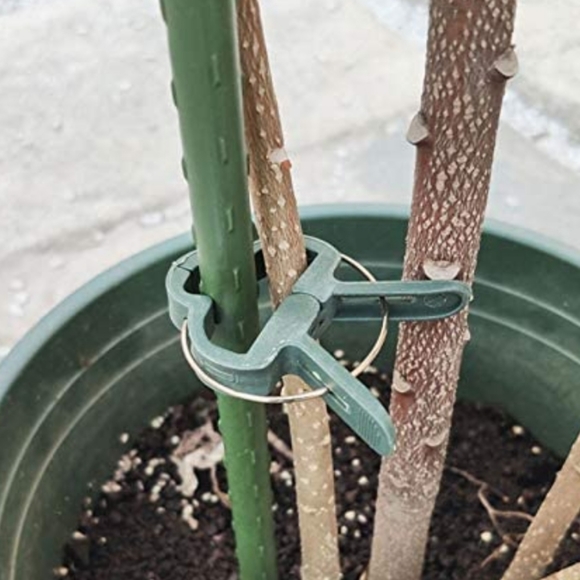 Other | 341 Handy Plant Clips Two Sizes 20pc | Poshmark